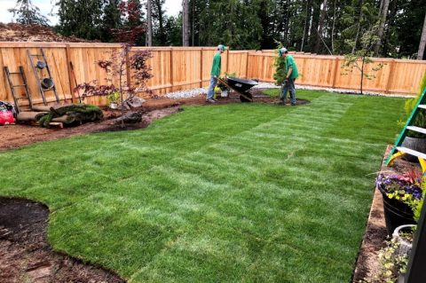 Swift Lawn Care | Clackamas | Yard Maintenance | Landscaping